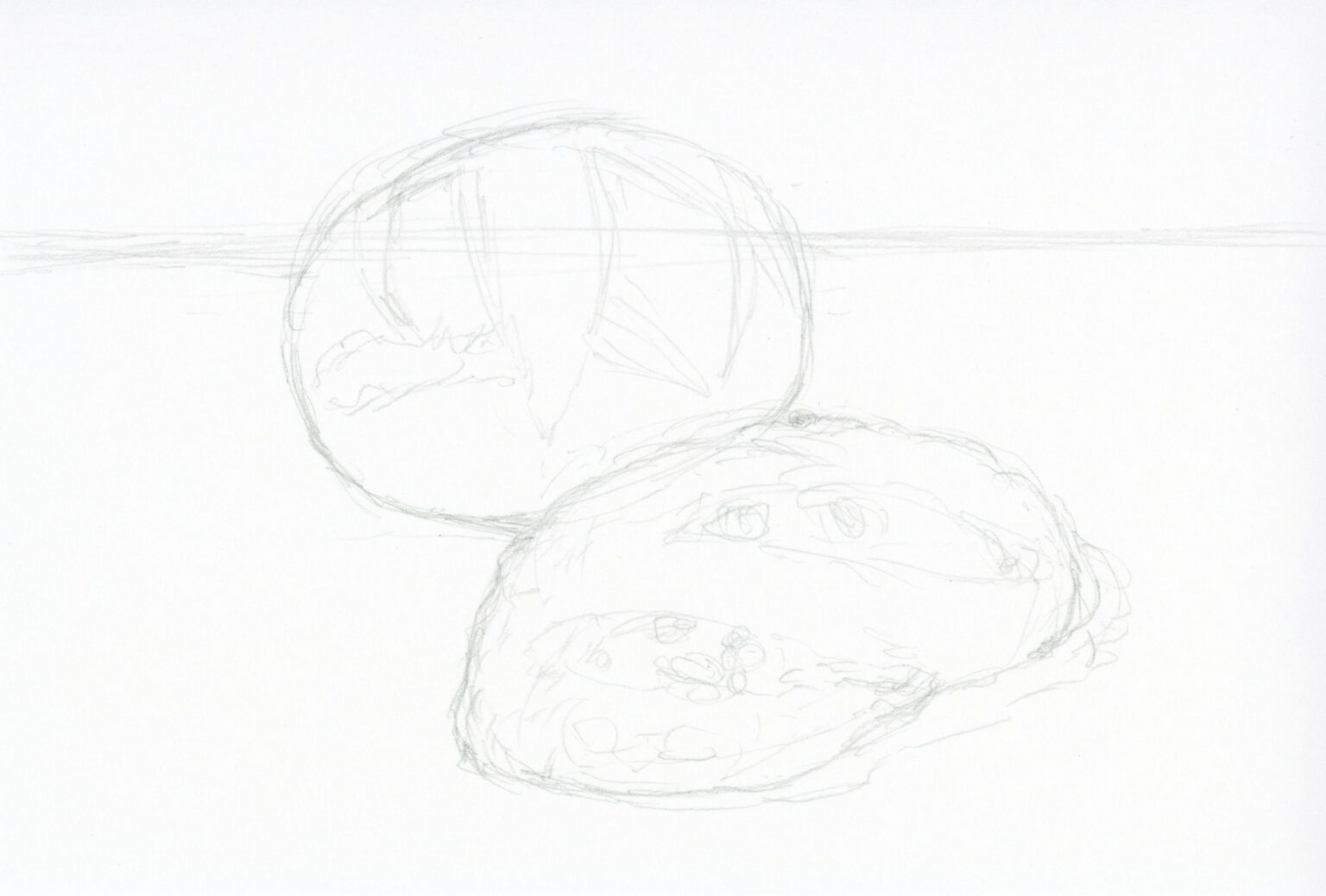 How to Draw in Pen and Ink: A Beginner’s Basic Guide