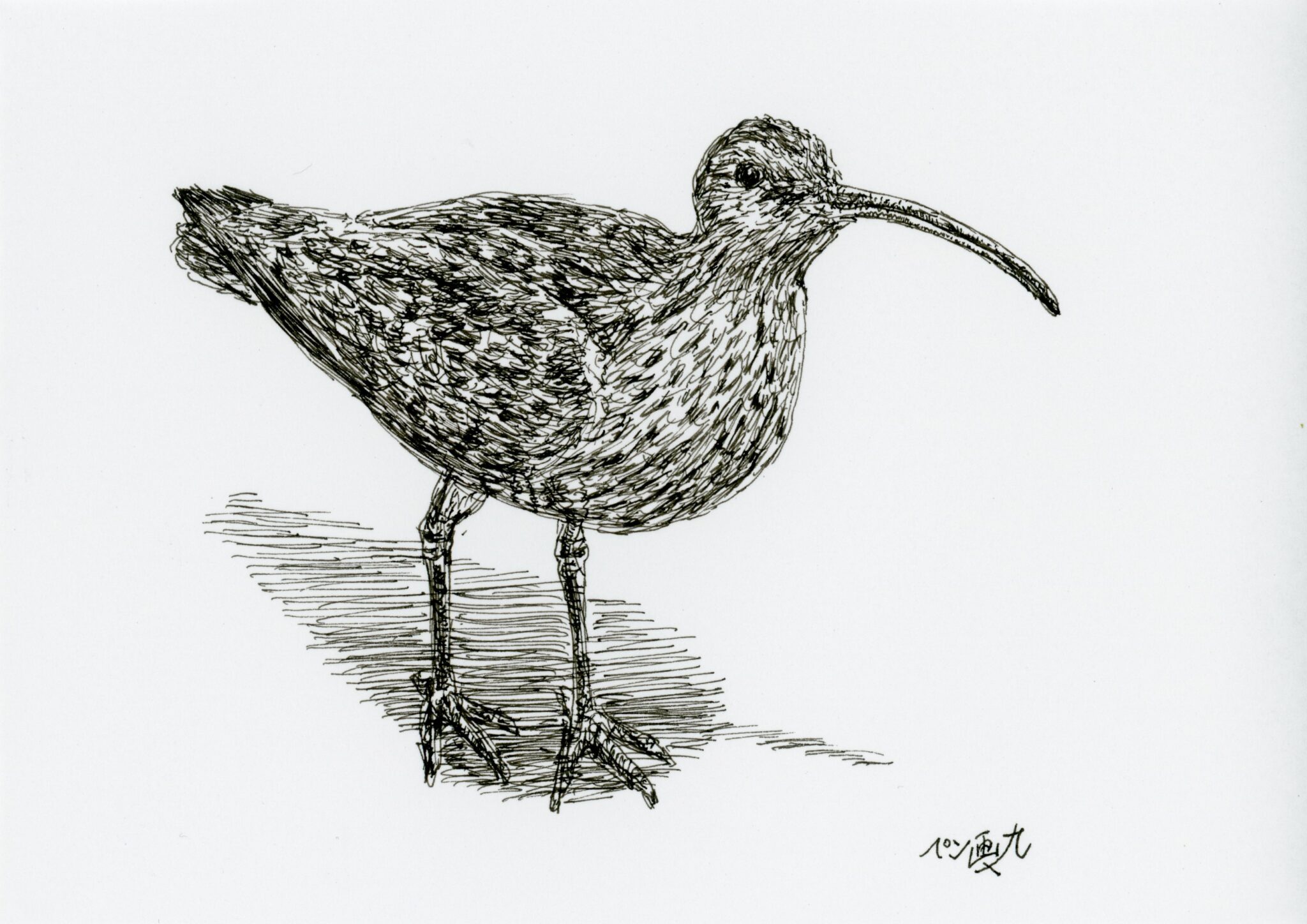 How to Draw in Pen and Ink: A Beginner’s Basic Guide