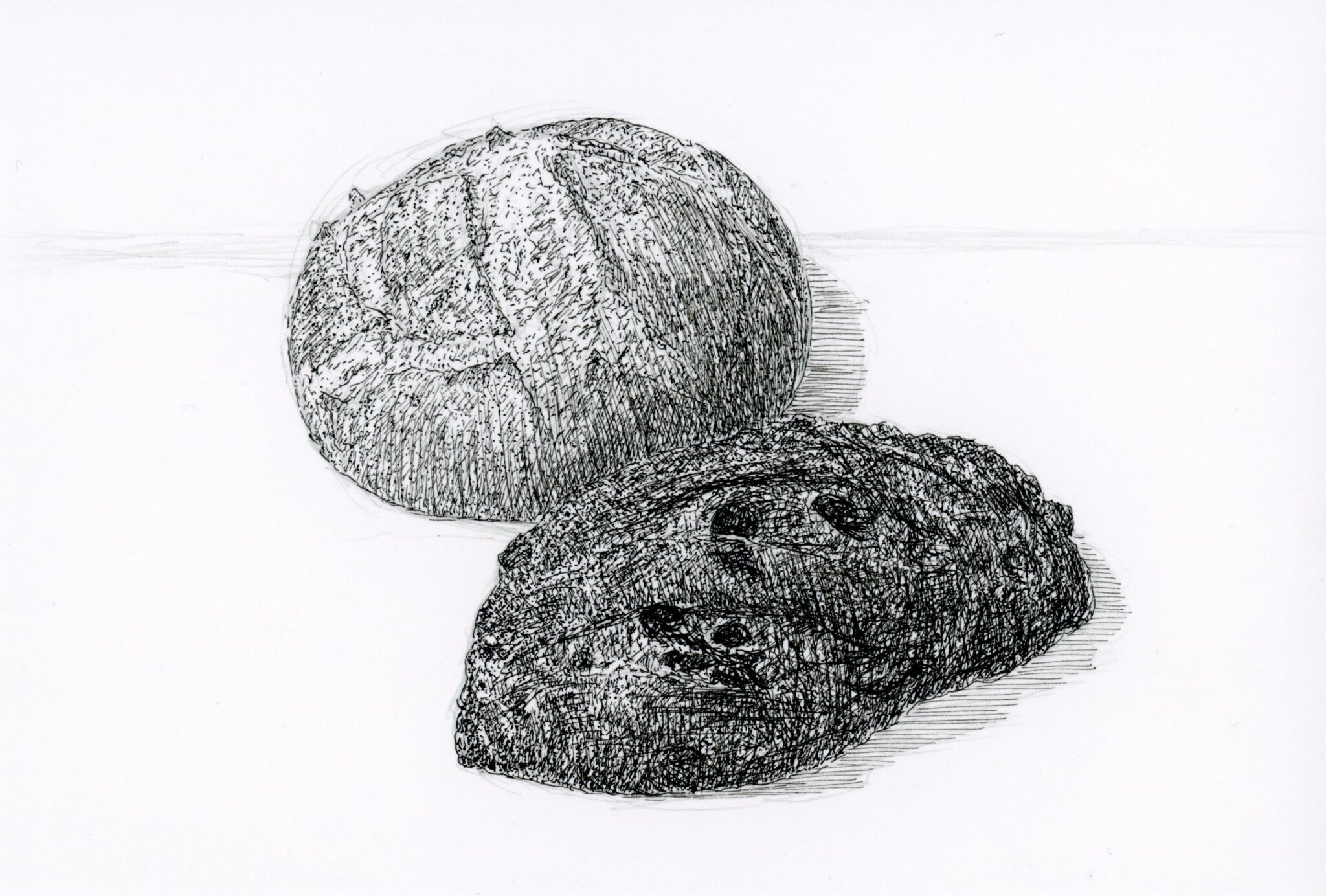 How to Draw in Pen and Ink: A Beginner’s Basic Guide