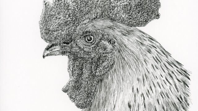 How to Draw Pen and Ink | A Beginner's Guide to Enjoyable Drawing