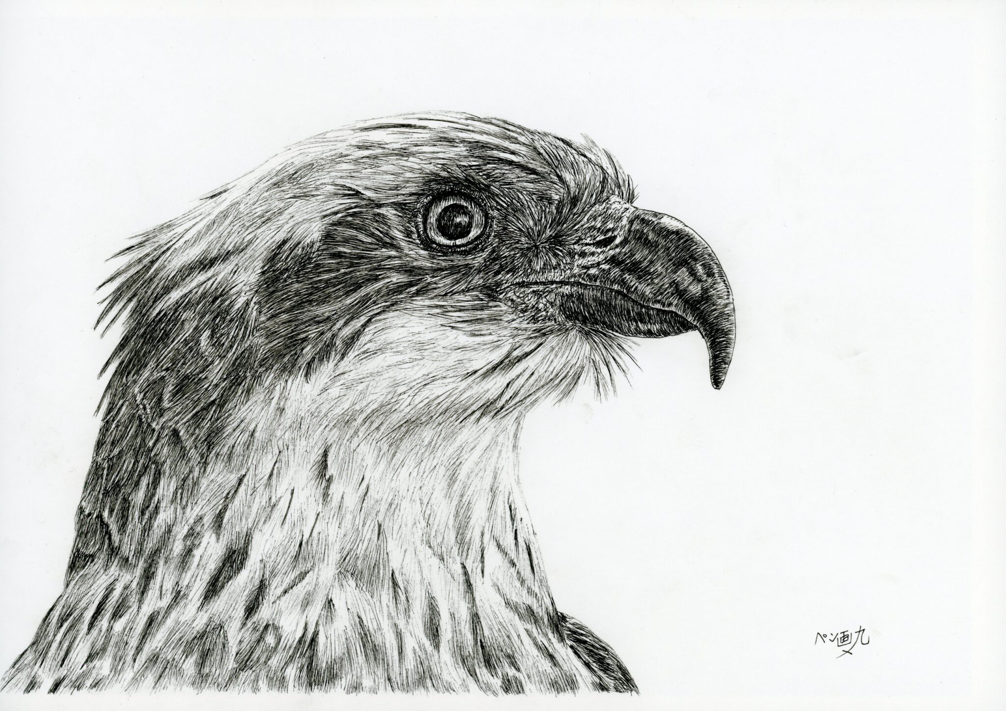 How to Draw Pen and Ink | A Beginner's Guide to Enjoyable Drawing