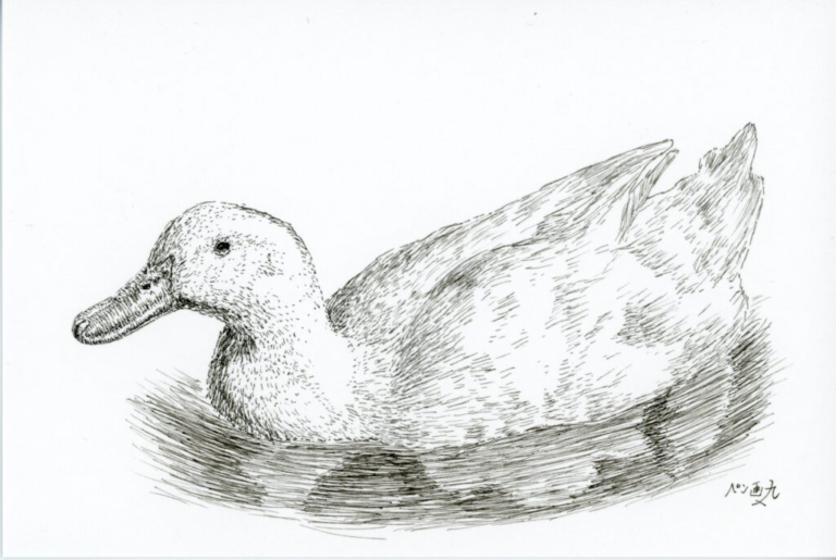 How to Draw Pen and Ink | A Beginner's Guide to Enjoyable Drawing