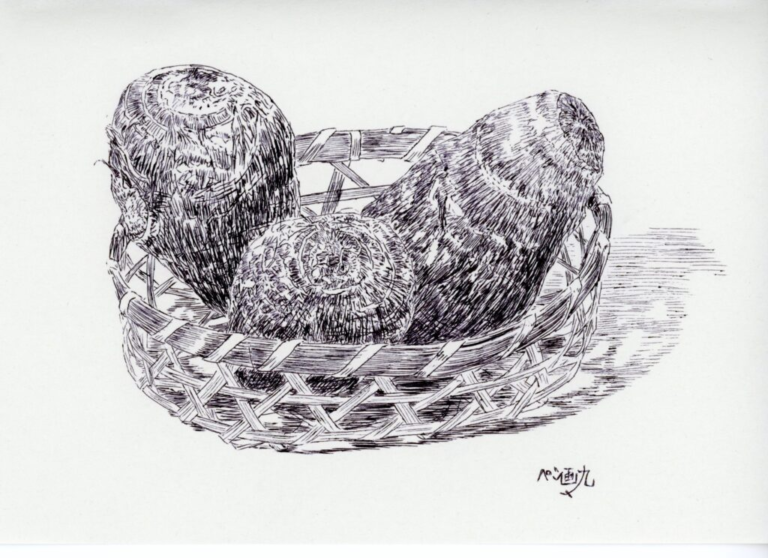 How to Draw Pen and Ink | A Beginner's Guide to Enjoyable Drawing